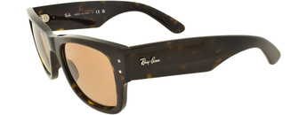 Ray-Ban zonnebril voor heren & dames kopen | Hans Anders